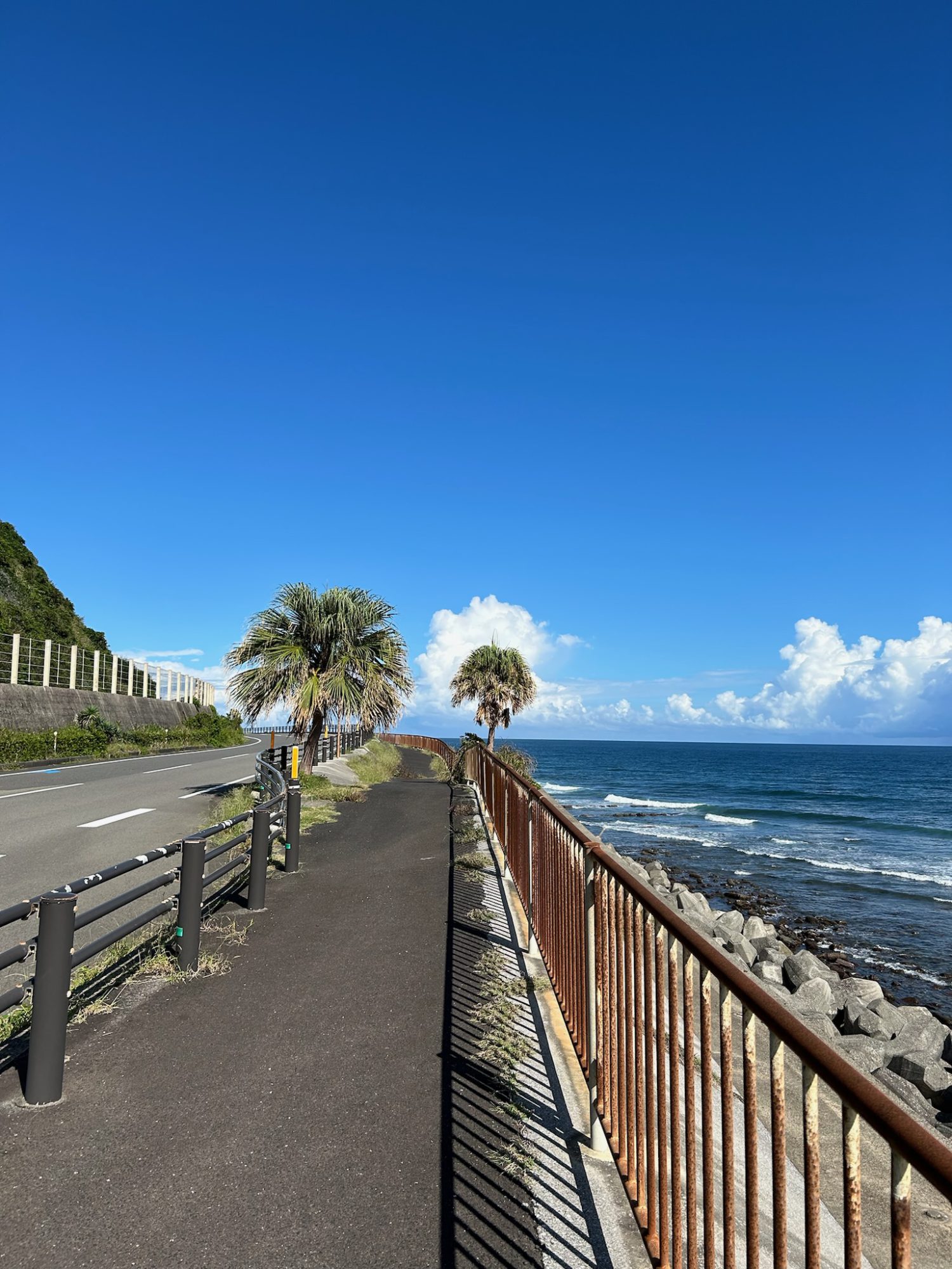 IMG_3435｜観光にちなんの旅 日南市観光協会